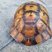 Rare Natural Turtle Shell Natural Big Turtle Shell Turtle - Etsy