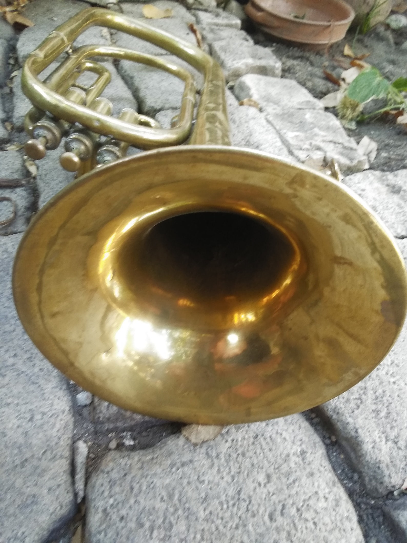 Old Musical Instrument Vintage Music Decoration Authentic | Etsy