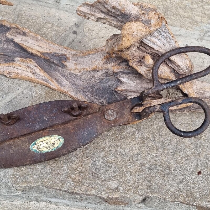Antique Scissors - Etsy