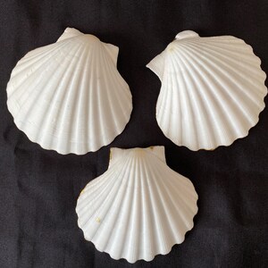 Beautiful Scallop Shell Jewelry Dish W Mermaid Design, Ring/trinket ...