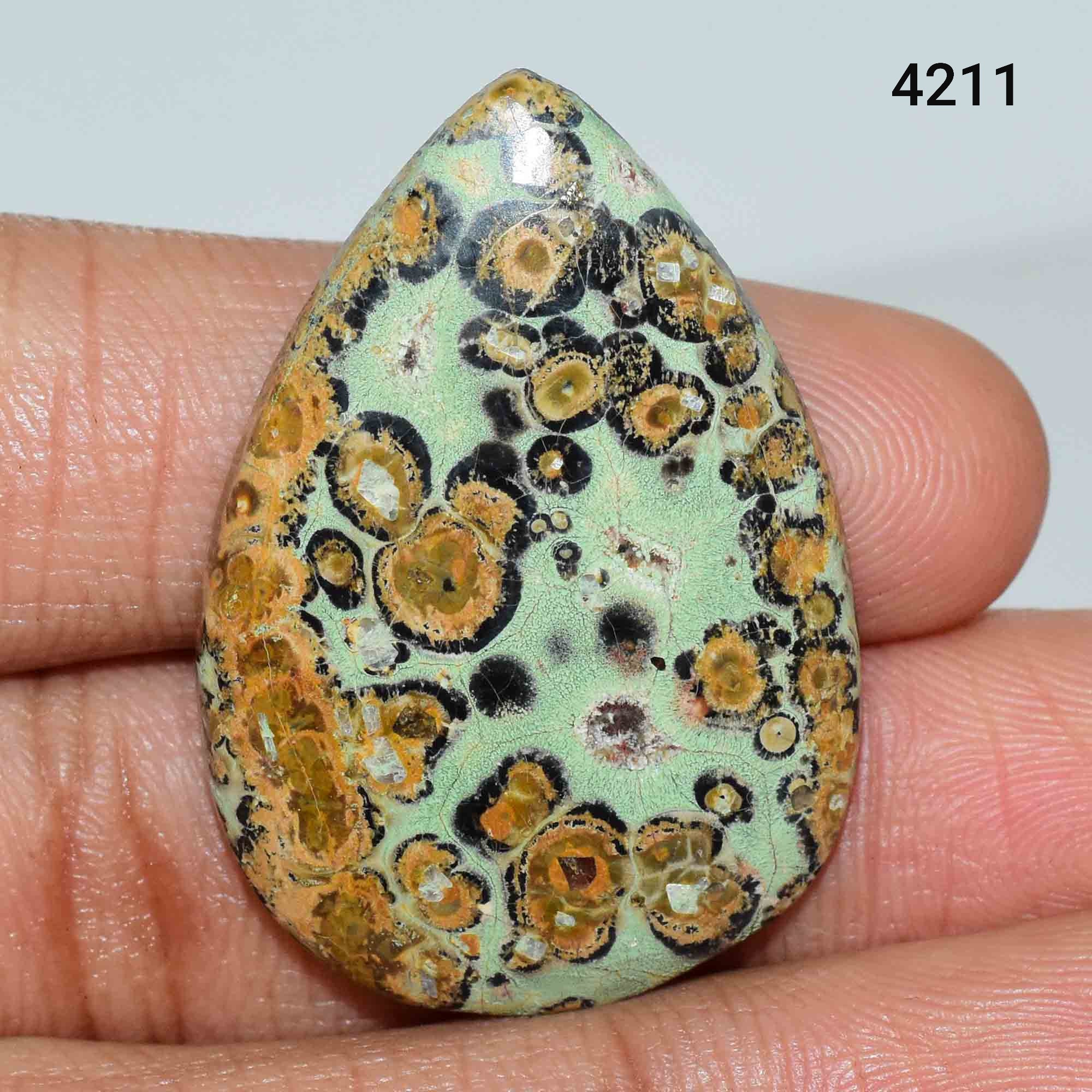 Leopard skin jasper 2kinds - fetibabes