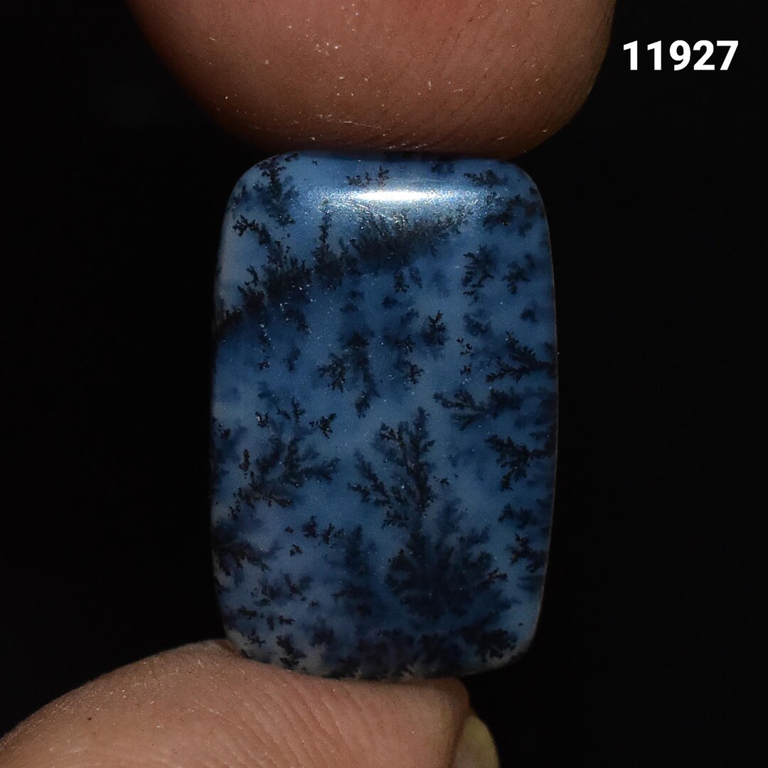 Marvelous Designer Dendrite Opal Cabochon Dendrite Opal Jewelry Natural ...
