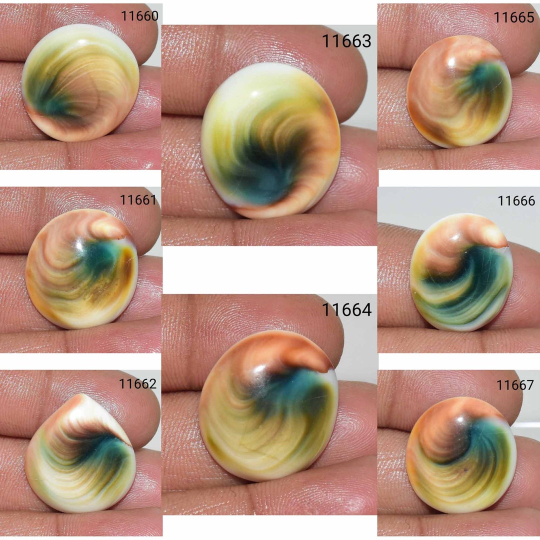 Premium A One Quality Shiva Eye Gemstone, Shiva Eye Cabochon, Shiva Eye ...