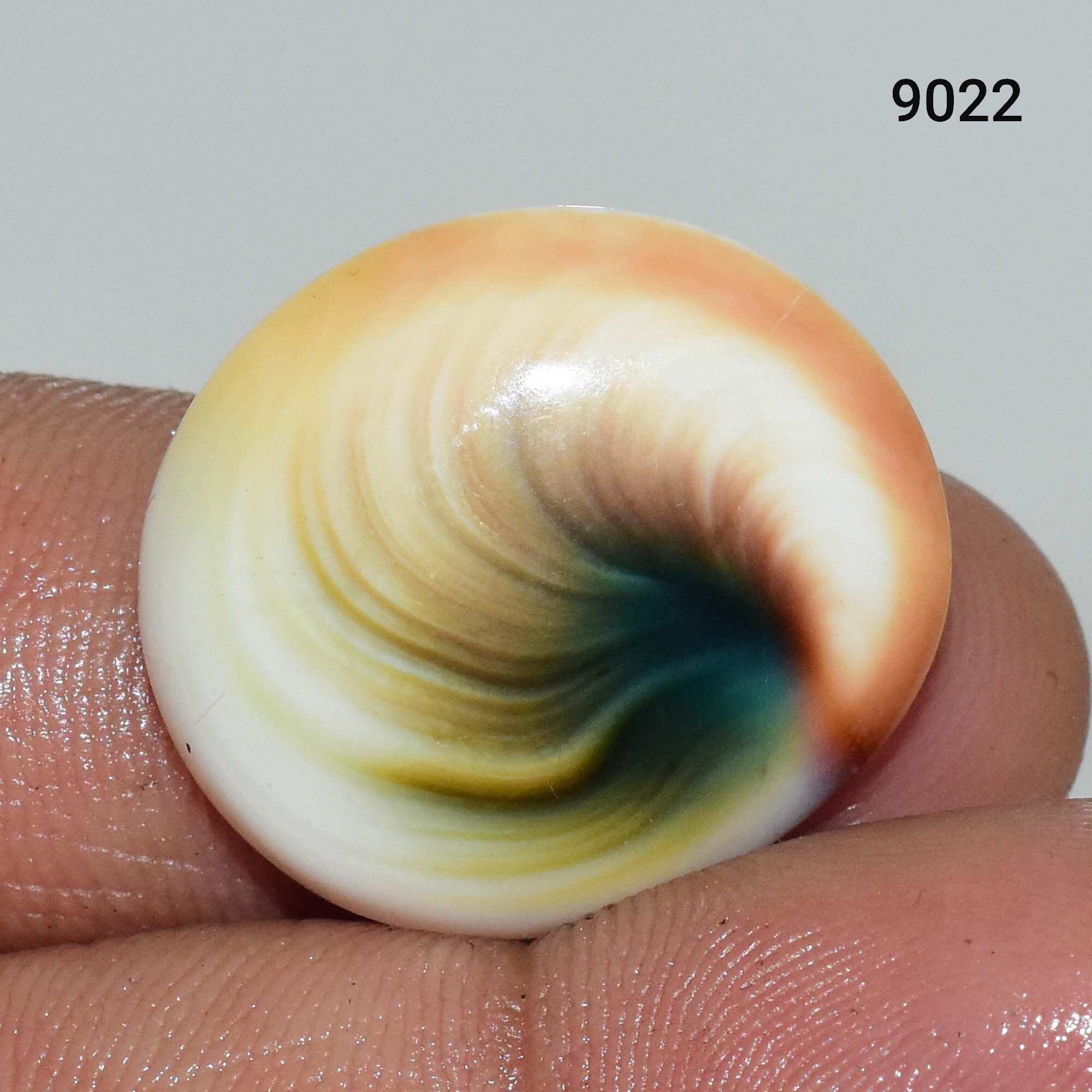 A One Quality Shiva Eye Gemstone Shiva Eye Cabochon Shiva | Etsy