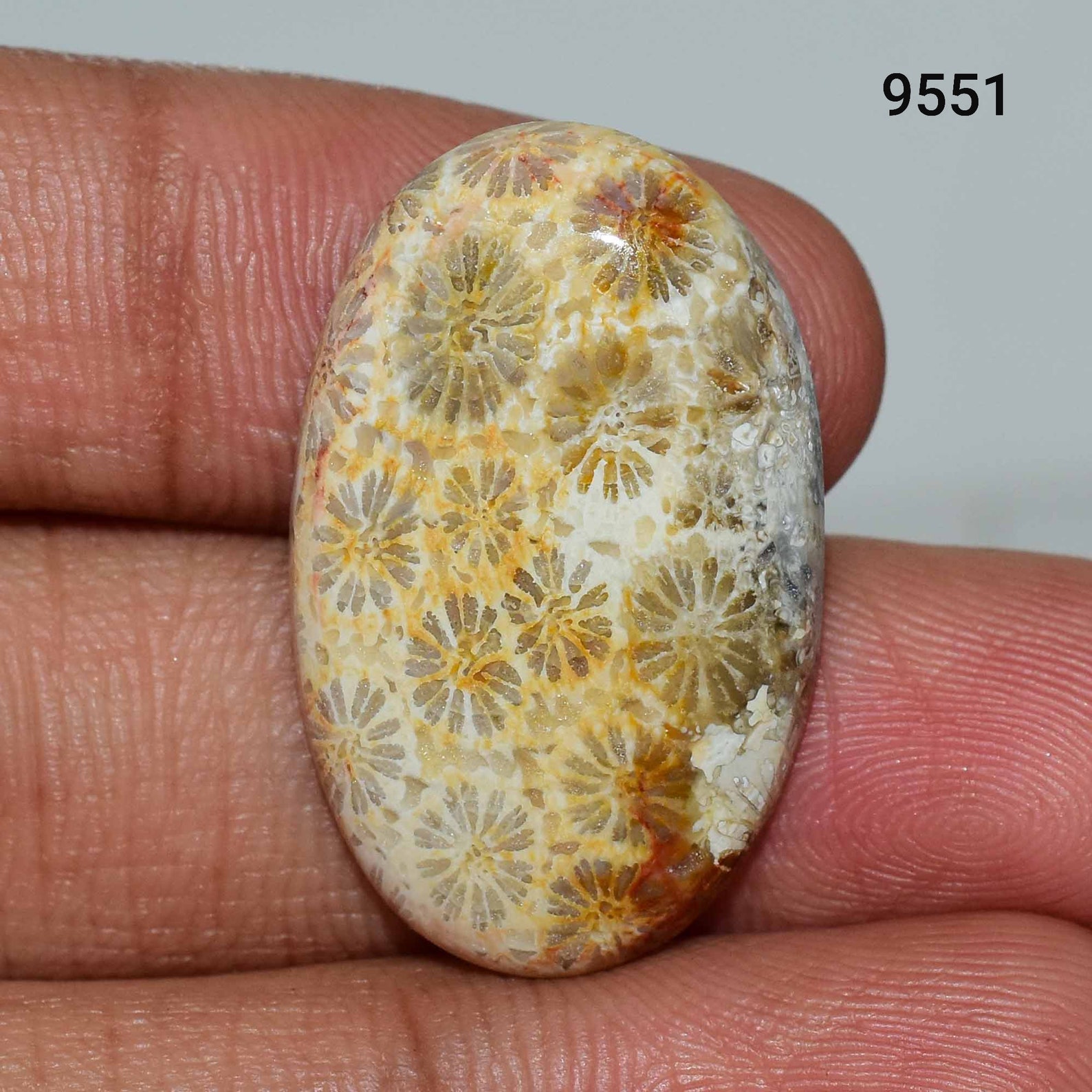 Gorgeous Natural Fossil Coral Gemstone Fossil Coral Cabochon | Etsy