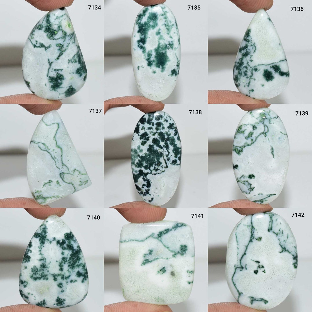 Awesome Designer Natural Tree Agate Gemstone Tree Agate Cabochon Tree ...