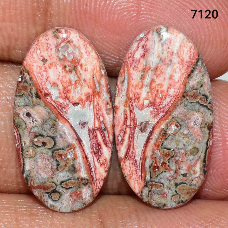 Beautiful Matched Pair Leopard Skin Jasper Gemstone Pair - Etsy