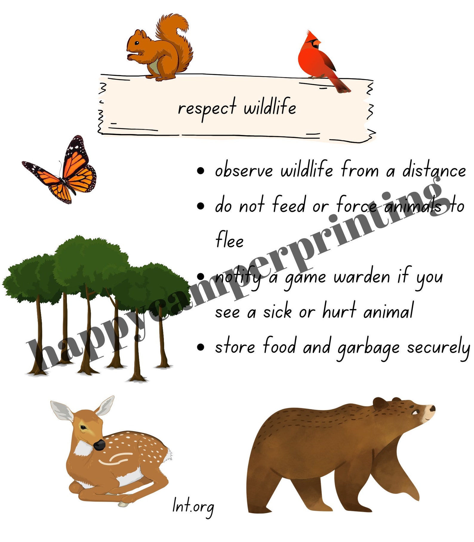 Leave No Trace Printable Guide, 8 Page Flyer Leave No Trace Pdf ...