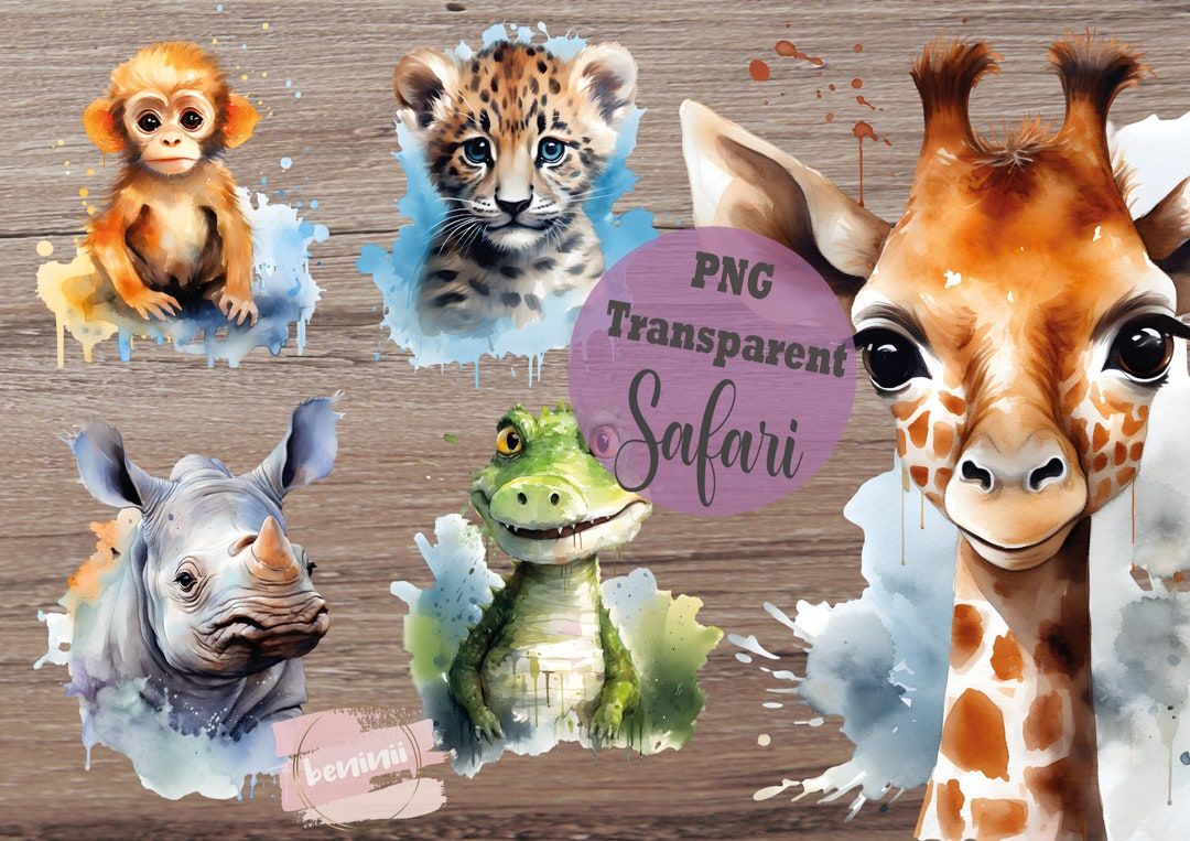 5 Safari Animals Clip Art PNG Watercolor Transparent - Etsy