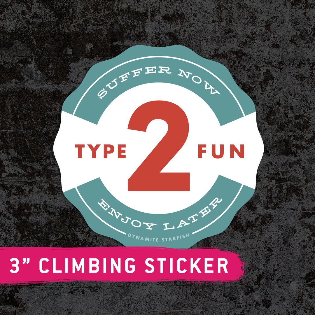 Type 2 Fun Badge — 2.75" Sticker - Etsy