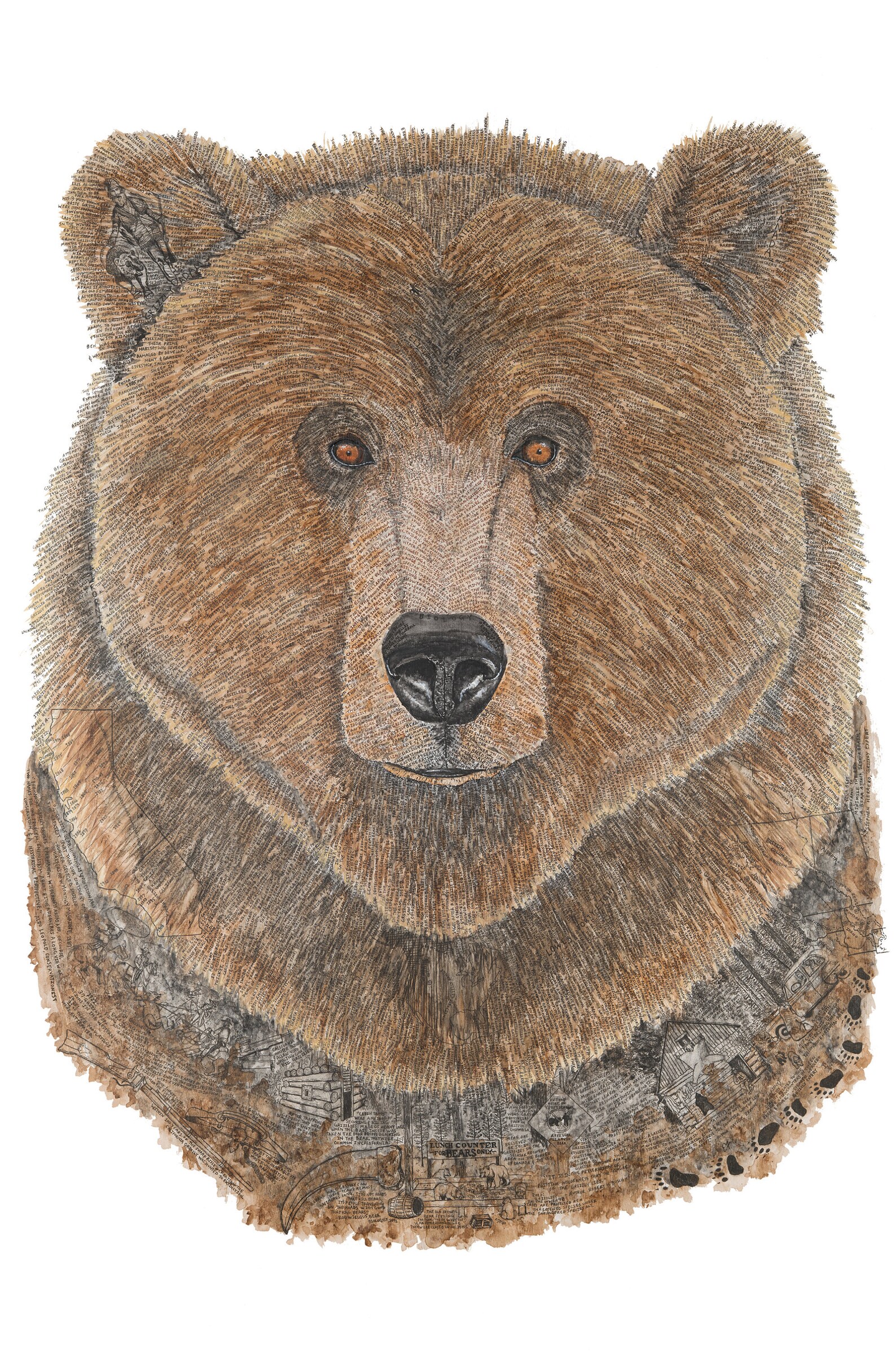 Limited Edition the Grizzly Print - Etsy