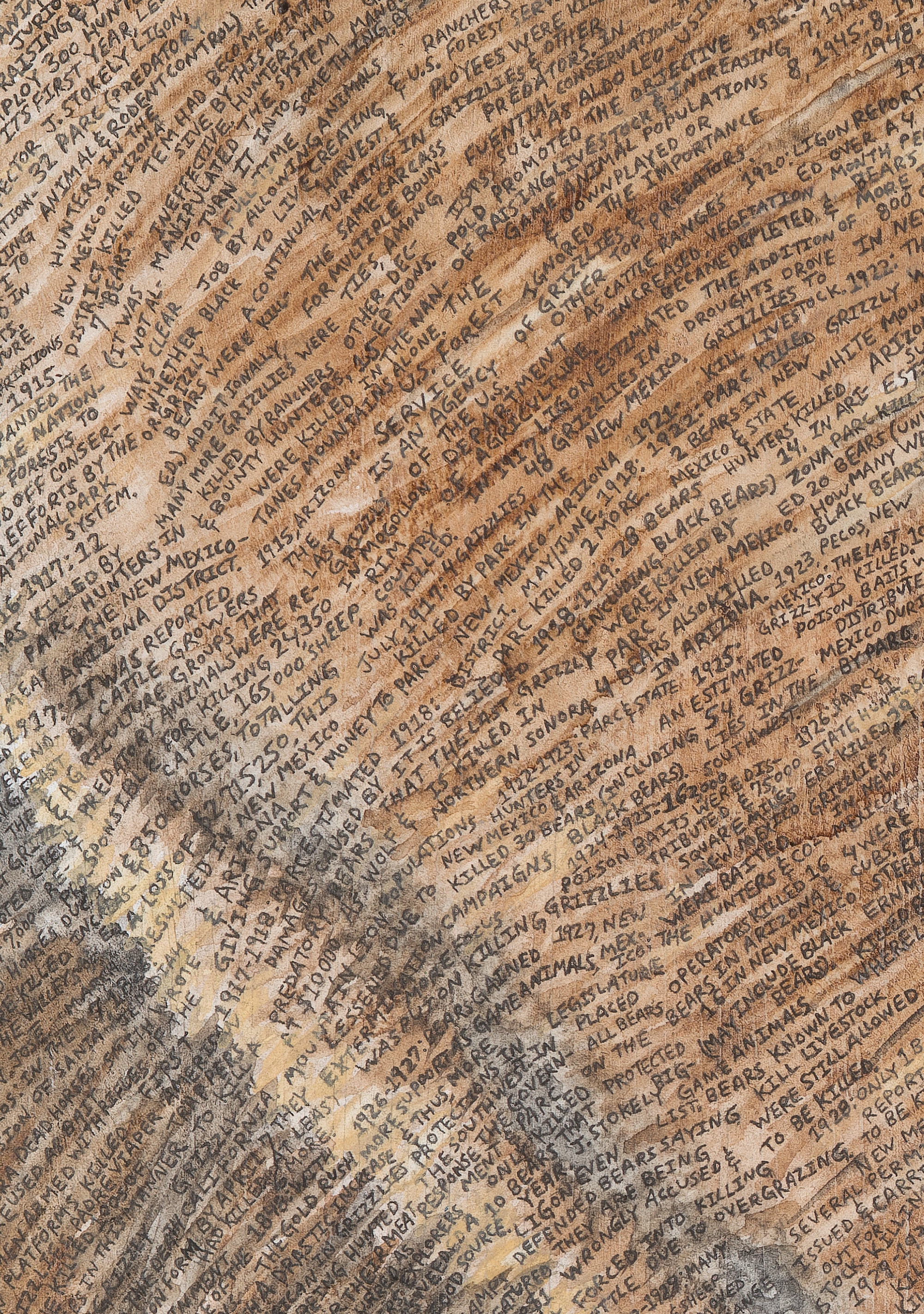 Limited Edition the Grizzly Print - Etsy