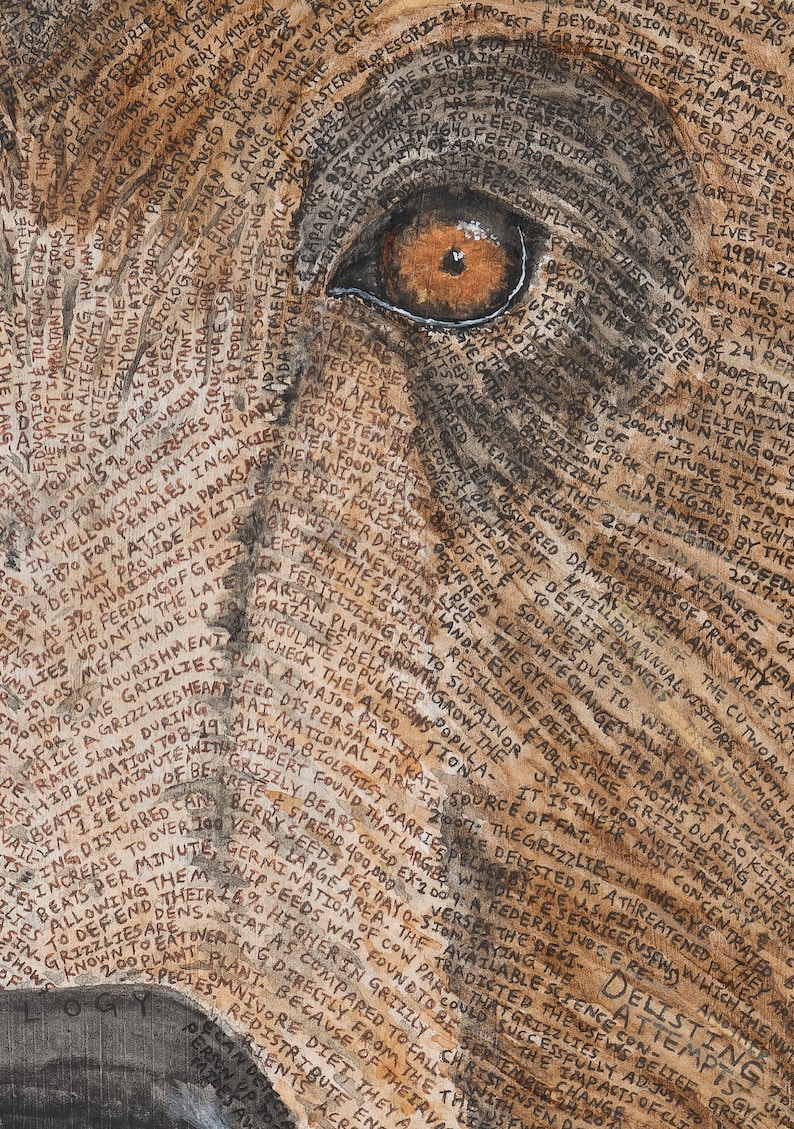 Limited Edition the Grizzly Print - Etsy