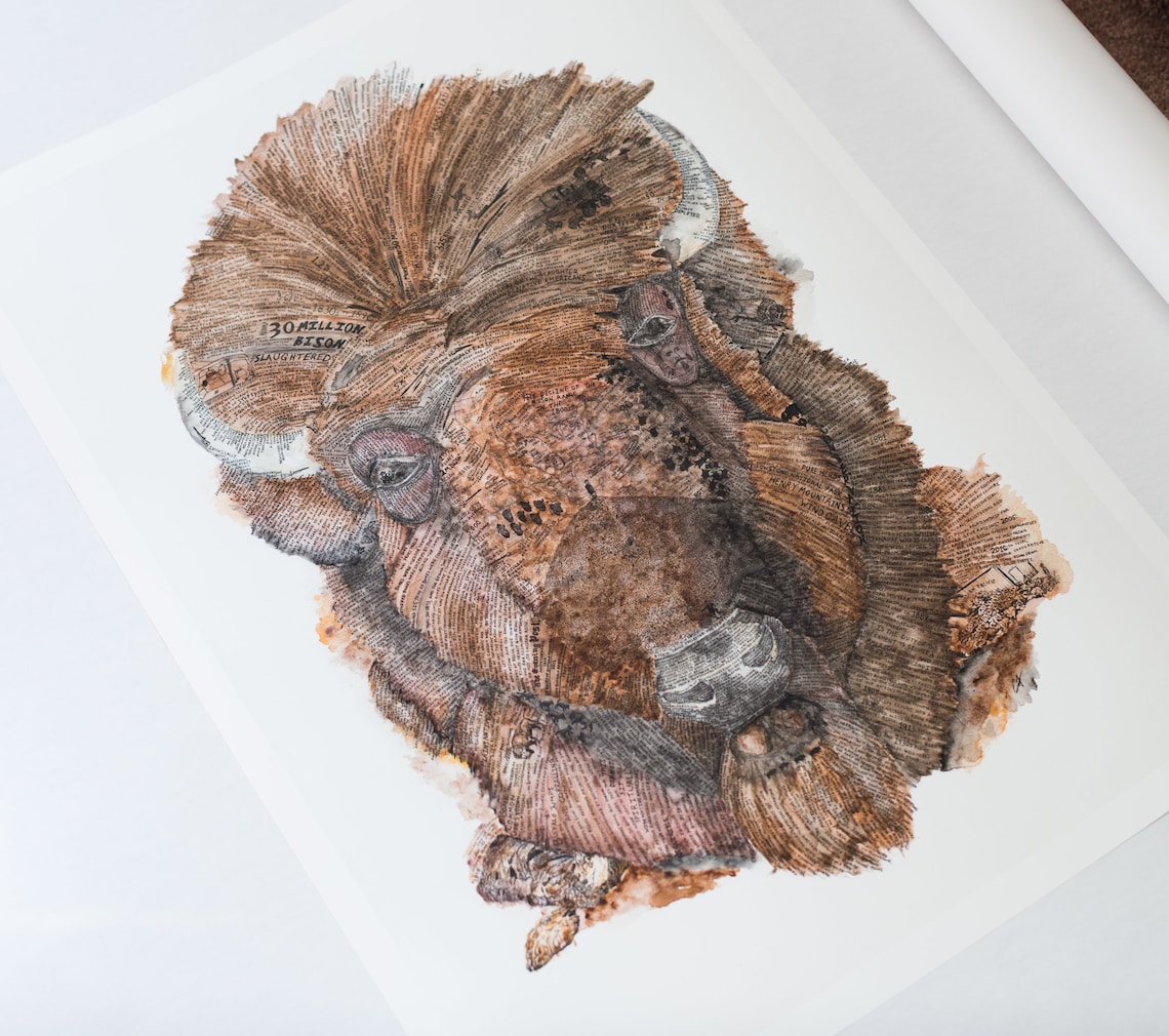 Limited Edition american Bison Print - Etsy