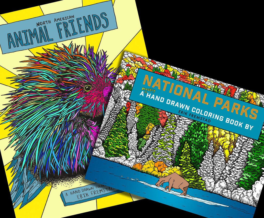 Coloring Book Combo Pack - Etsy