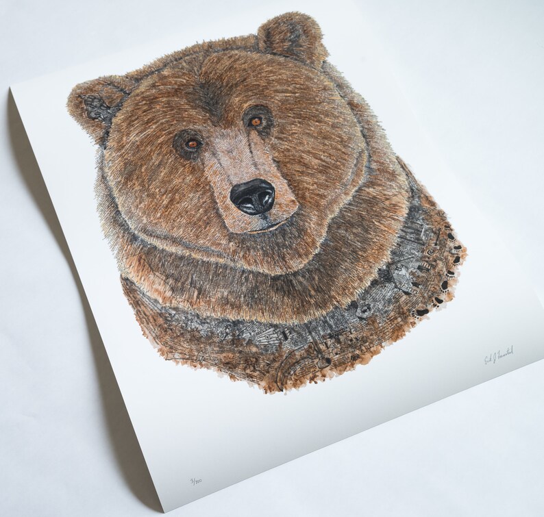 Limited Edition the Grizzly Print - Etsy