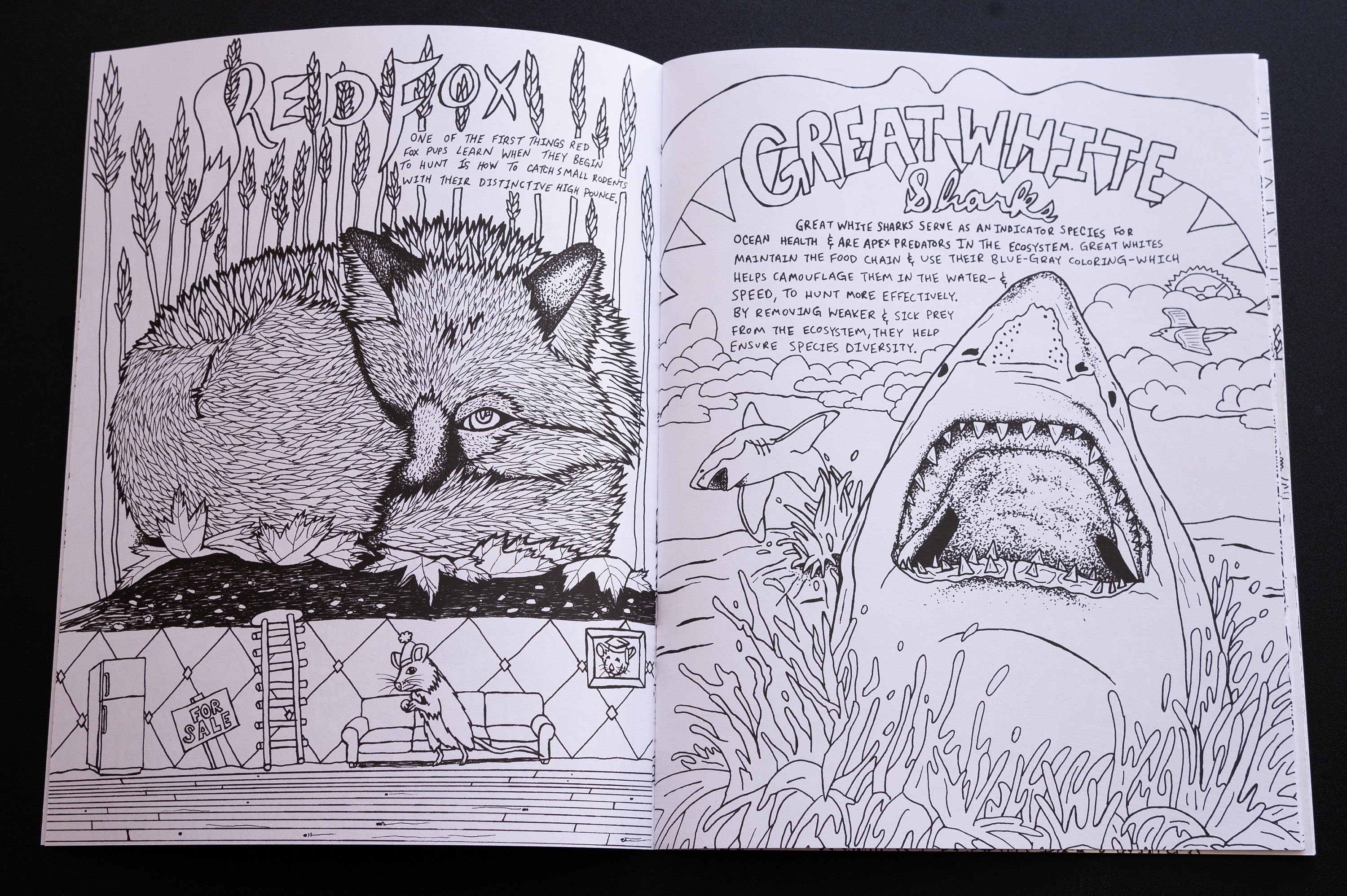 Coloring Book Combo Pack - Etsy