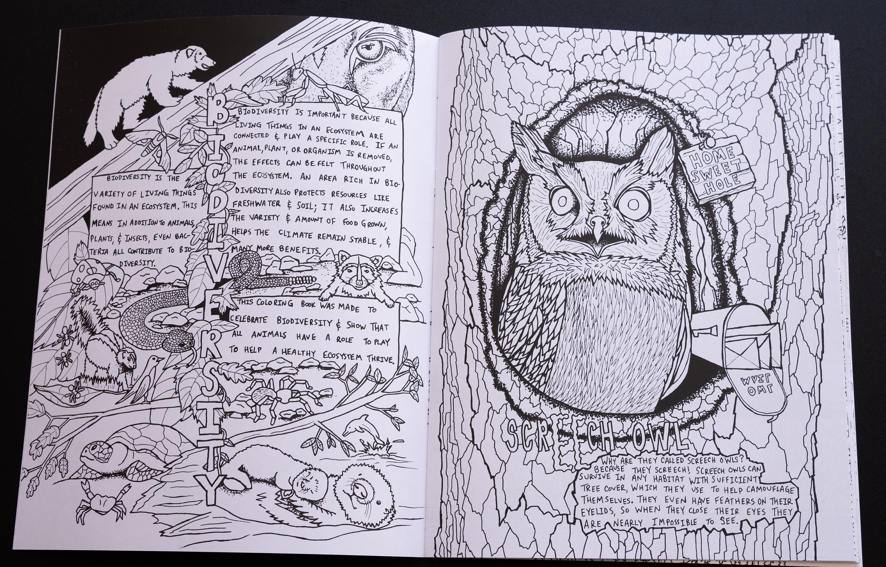 Coloring Book Combo Pack - Etsy