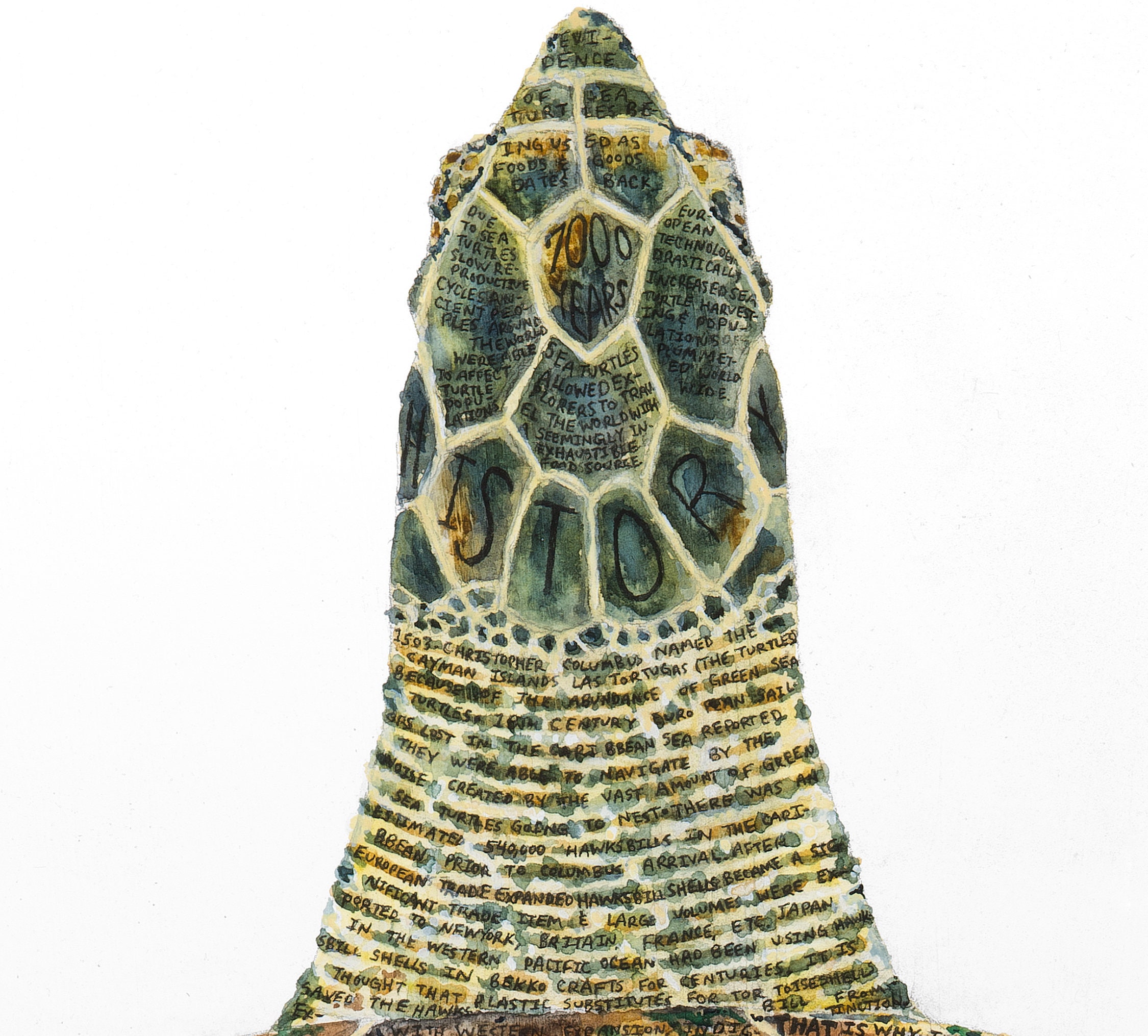 Limited Edition the Sea Turtle Print - Etsy