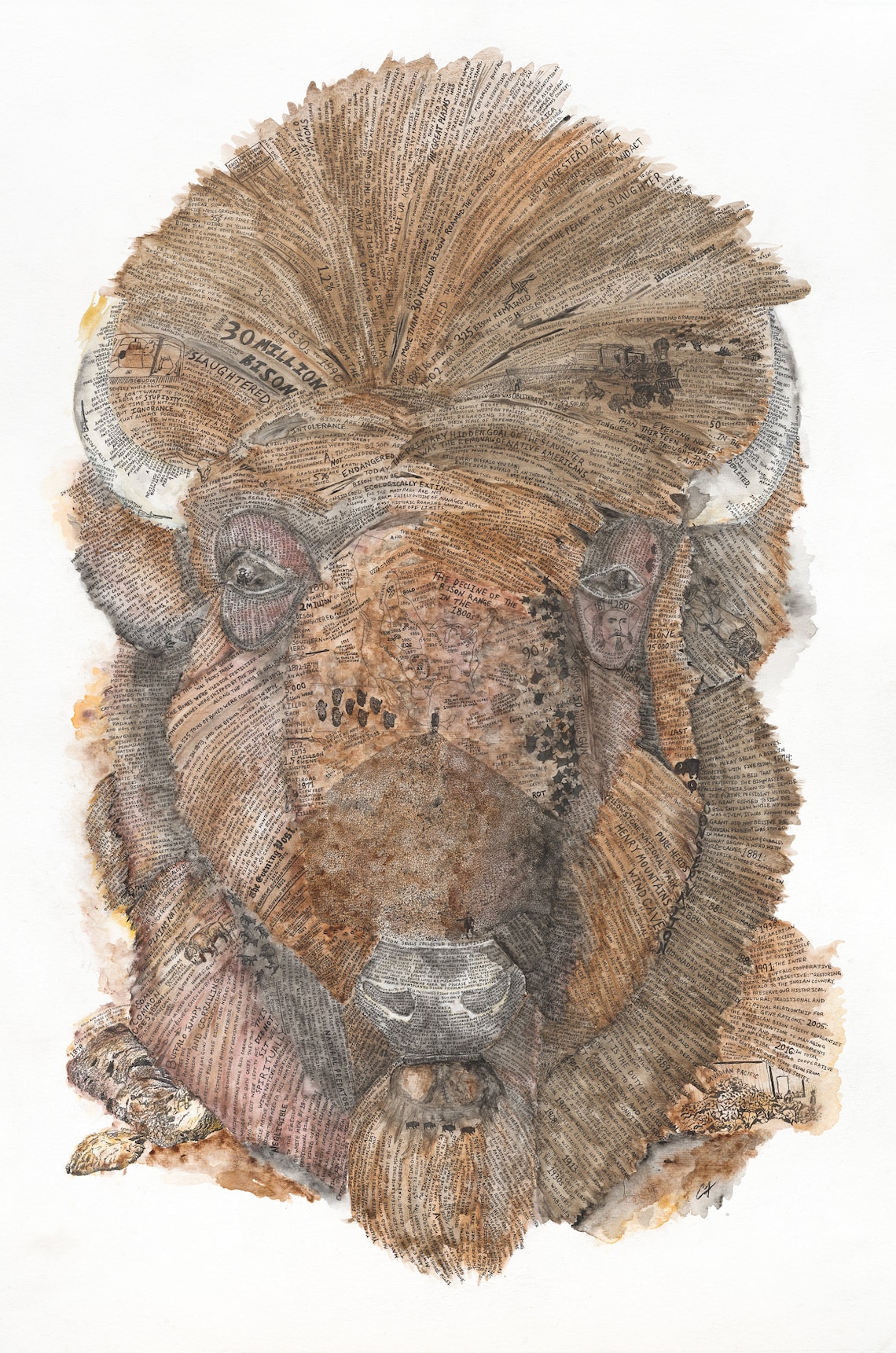 Limited Edition american Bison Print - Etsy