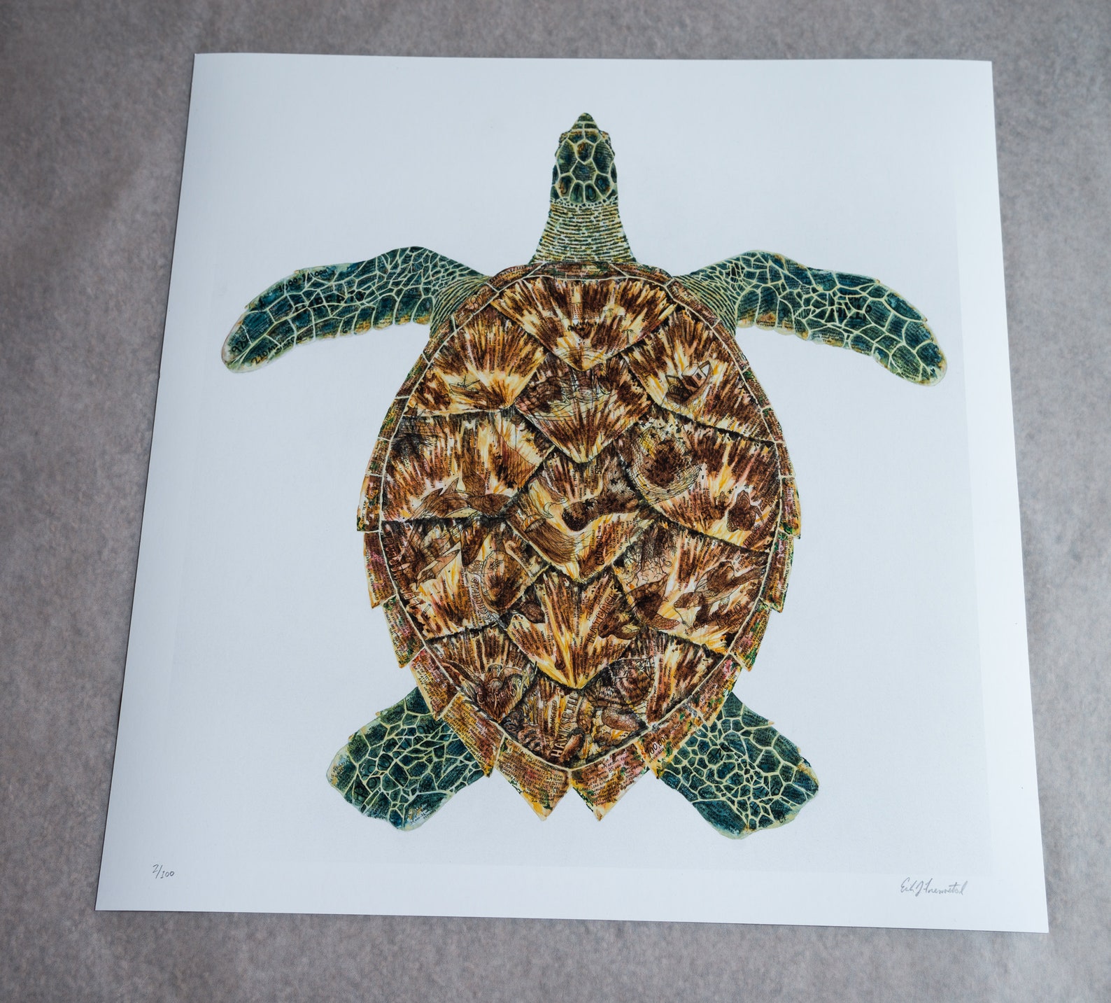 Limited Edition the Sea Turtle Print - Etsy