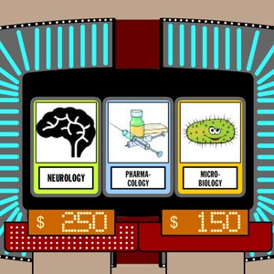 Joker's Wild: Game Show Presentation Software for Windows | Host Your ...