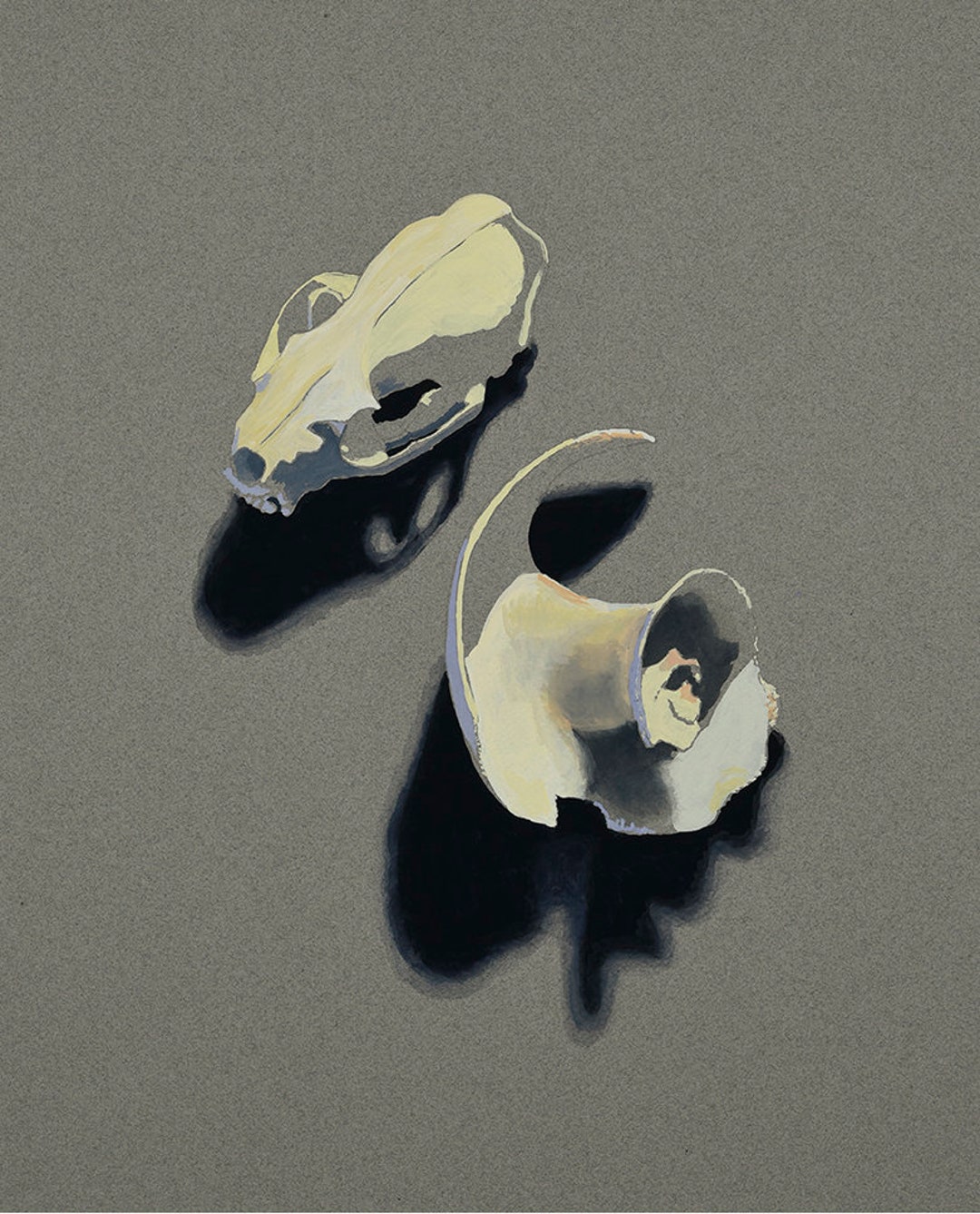 Skull and Shell, Printable Digital Download - Etsy