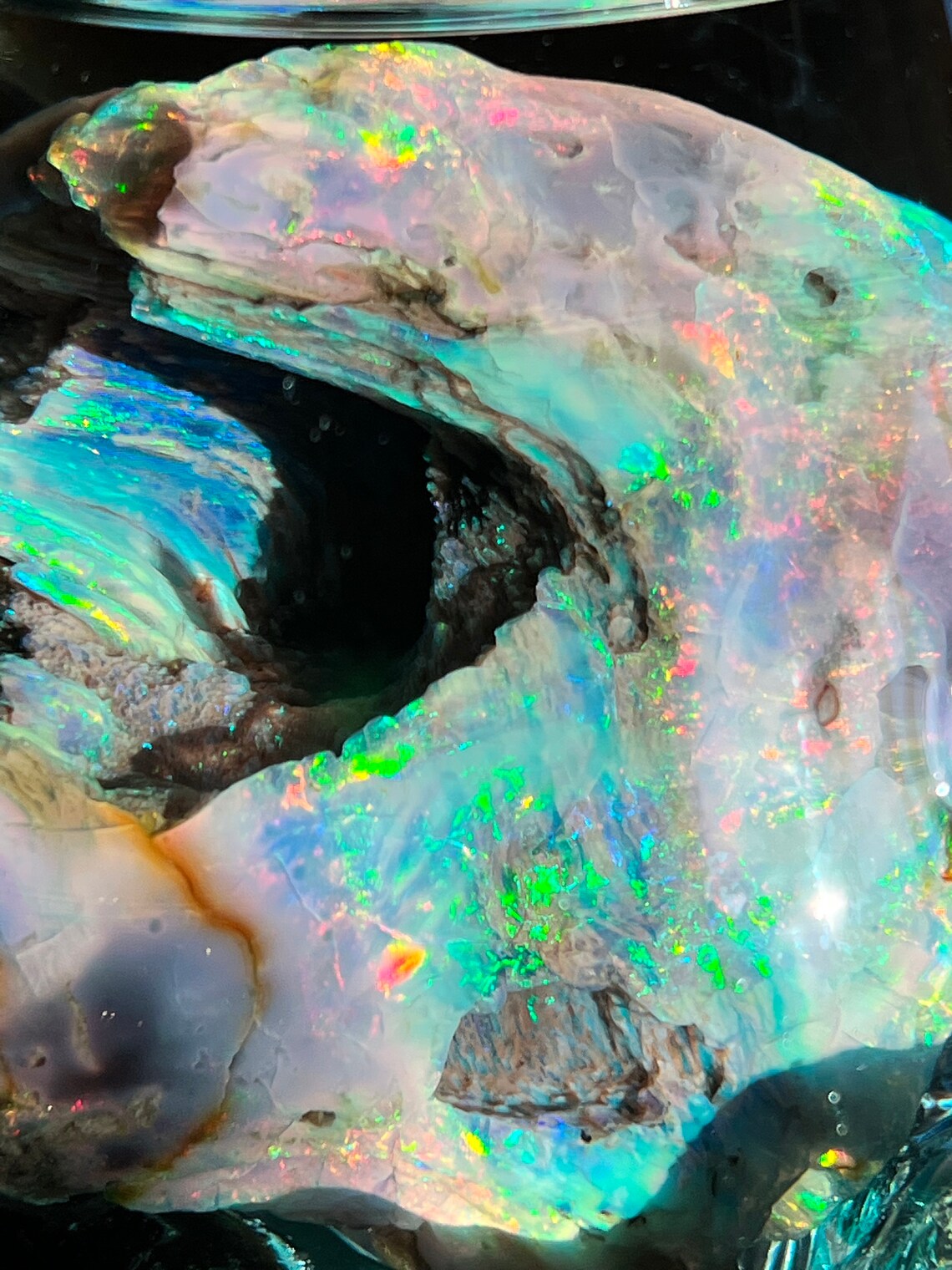 Magnificent World Class 2 Lb Virgin Valley Precious Opal Petrified Wood ...