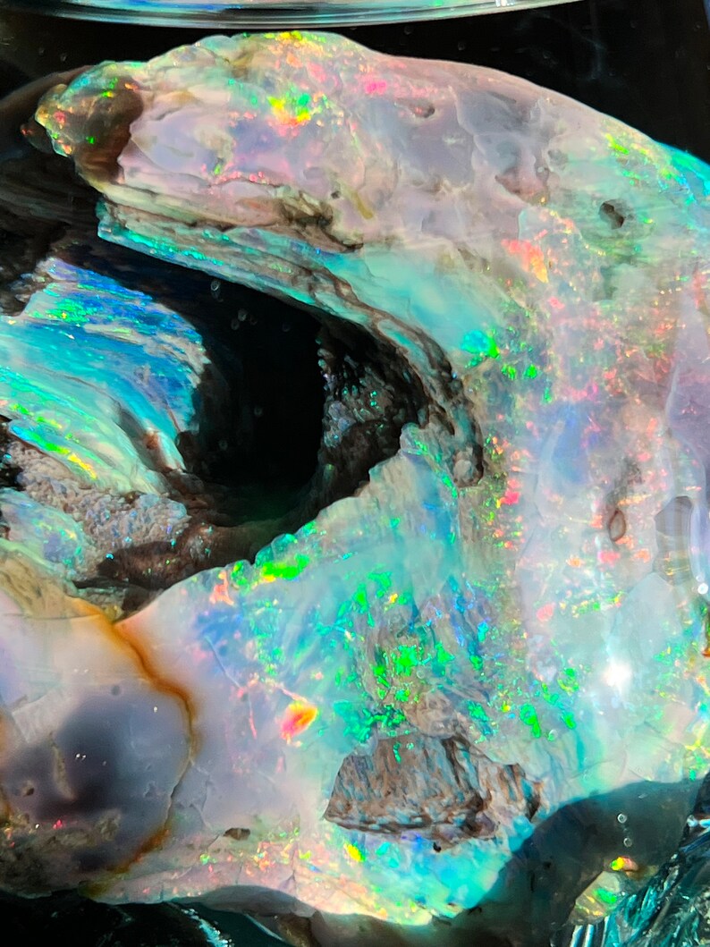 Magnificent World Class 2 Lb Virgin Valley Precious Opal Petrified Wood - Etsy