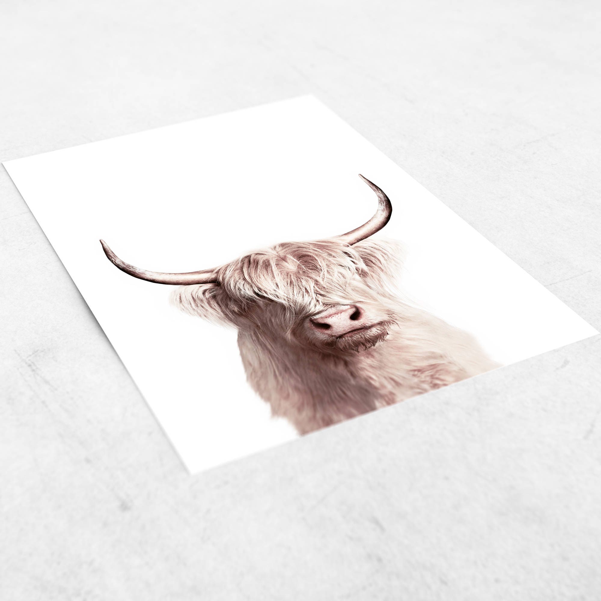 Highland Cow Print Cow Poster Cattle Photography Animal | Etsy