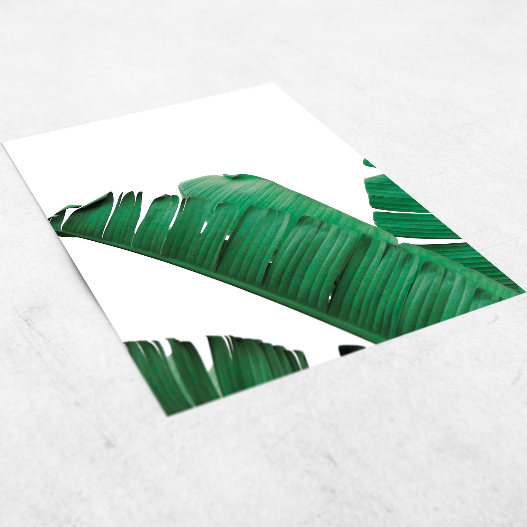 Banana Leaf Print Leaf Print Banana Leaf Poster Banana Leaf - Etsy