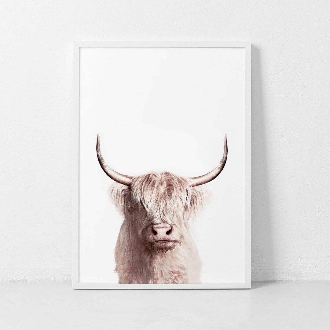 Highland Cow Print, Cow Poster, Cattle Photography, Animal Portrait ...