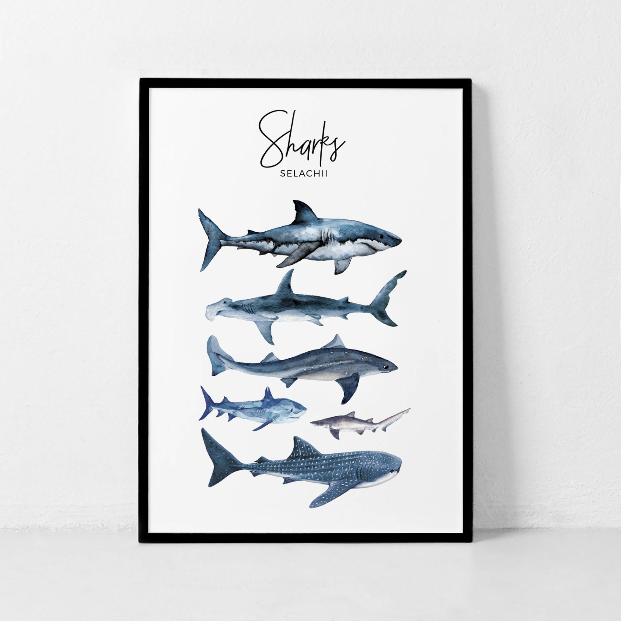 Shark Poster Shark Printable Shark Species Print Watercolor - Etsy