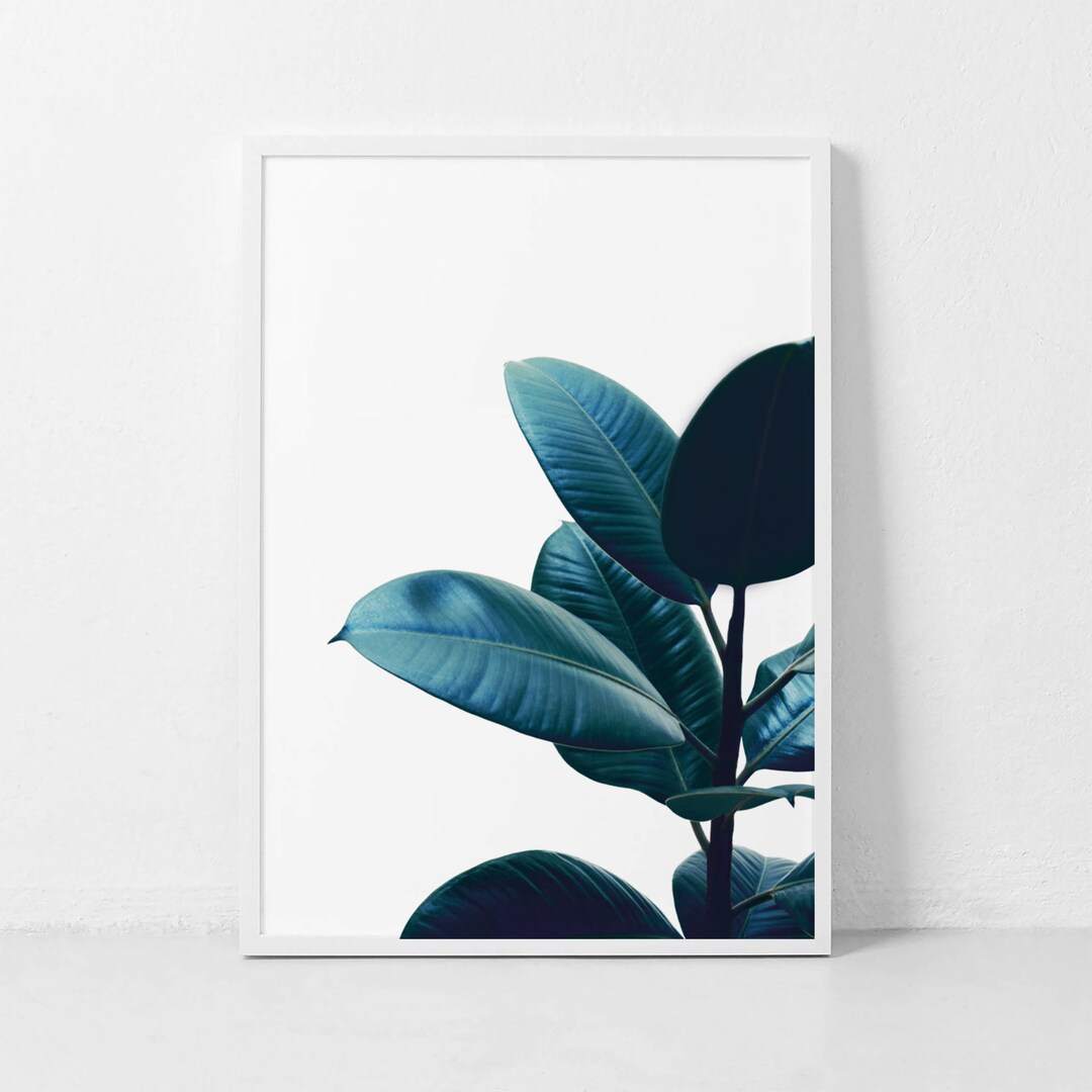 Ficus Print, Fig Tree Print, Ficus Elastica, Botanical Print, Botanical ...