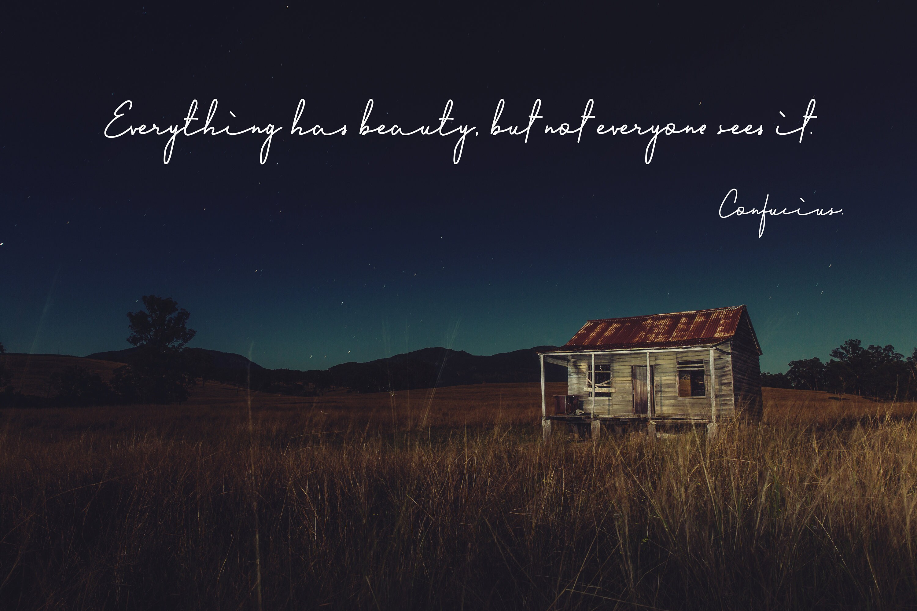 Newfirst Signature Script Font Hand Lettered Calligraphy | Etsy