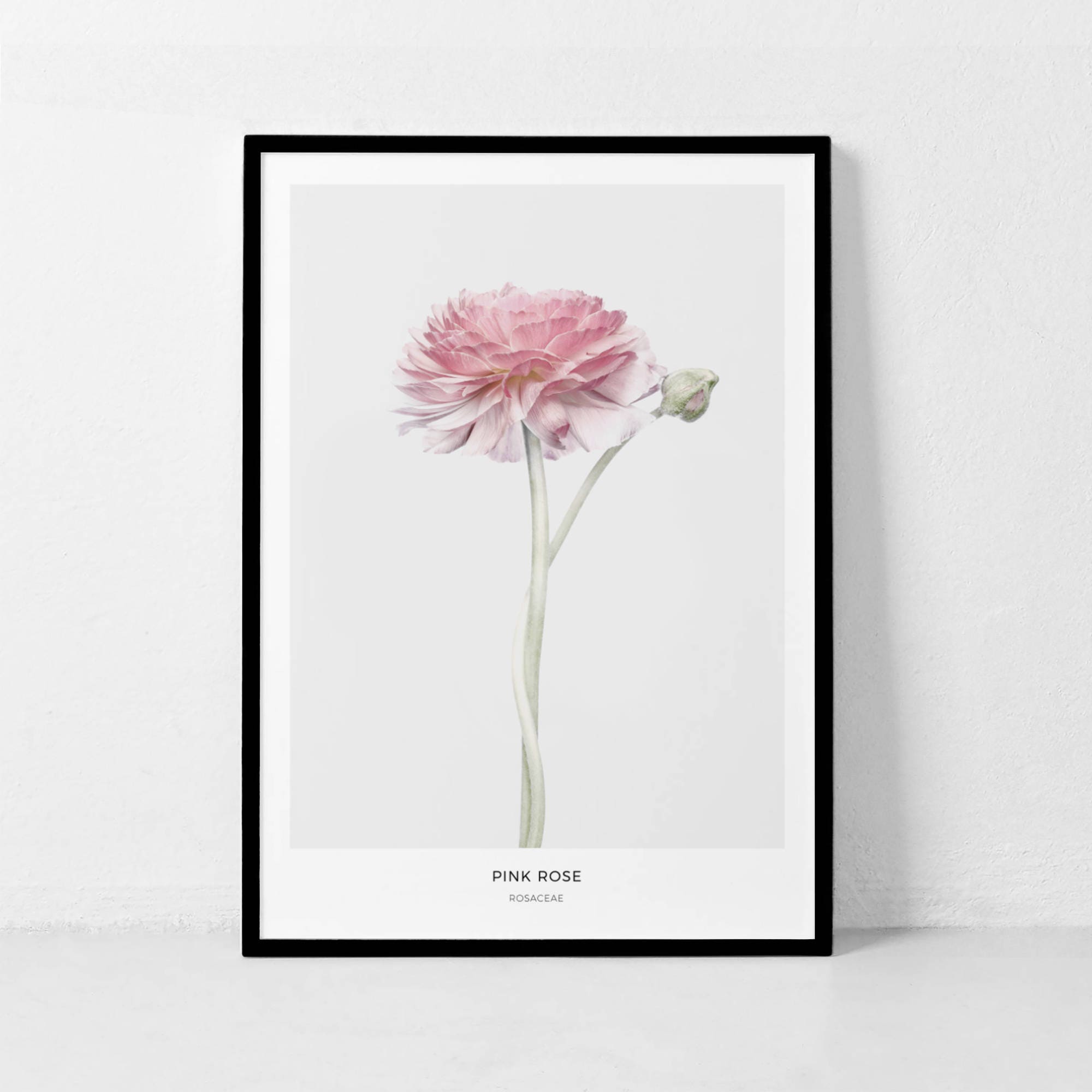 Pink Rose Print Flower Wall Art Pink Rose Wall Art Rose | Etsy