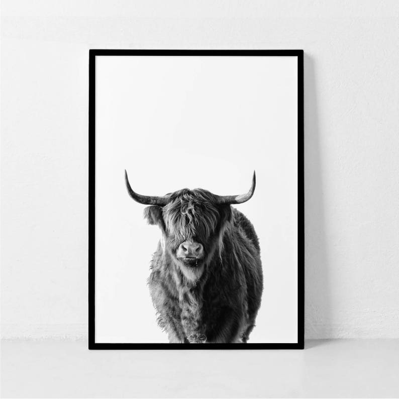 Highland Kuh Druck, Bauernhof Tier Wandkunst, schwarz und weiß Kuh Poster, Rinder Fotografie ...