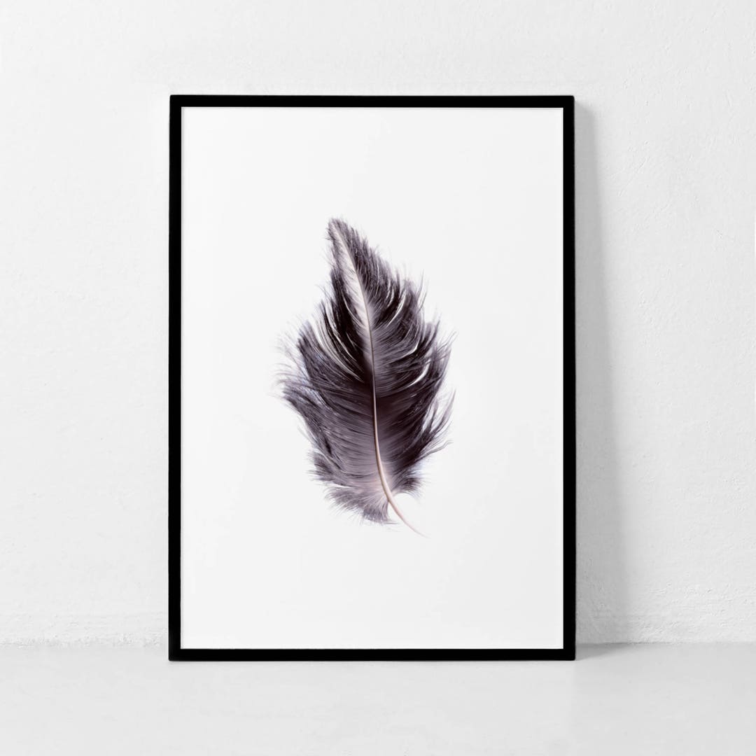 Feather Print, Feather Wall Art, Scandinavian Print, Modern Wall Art ...