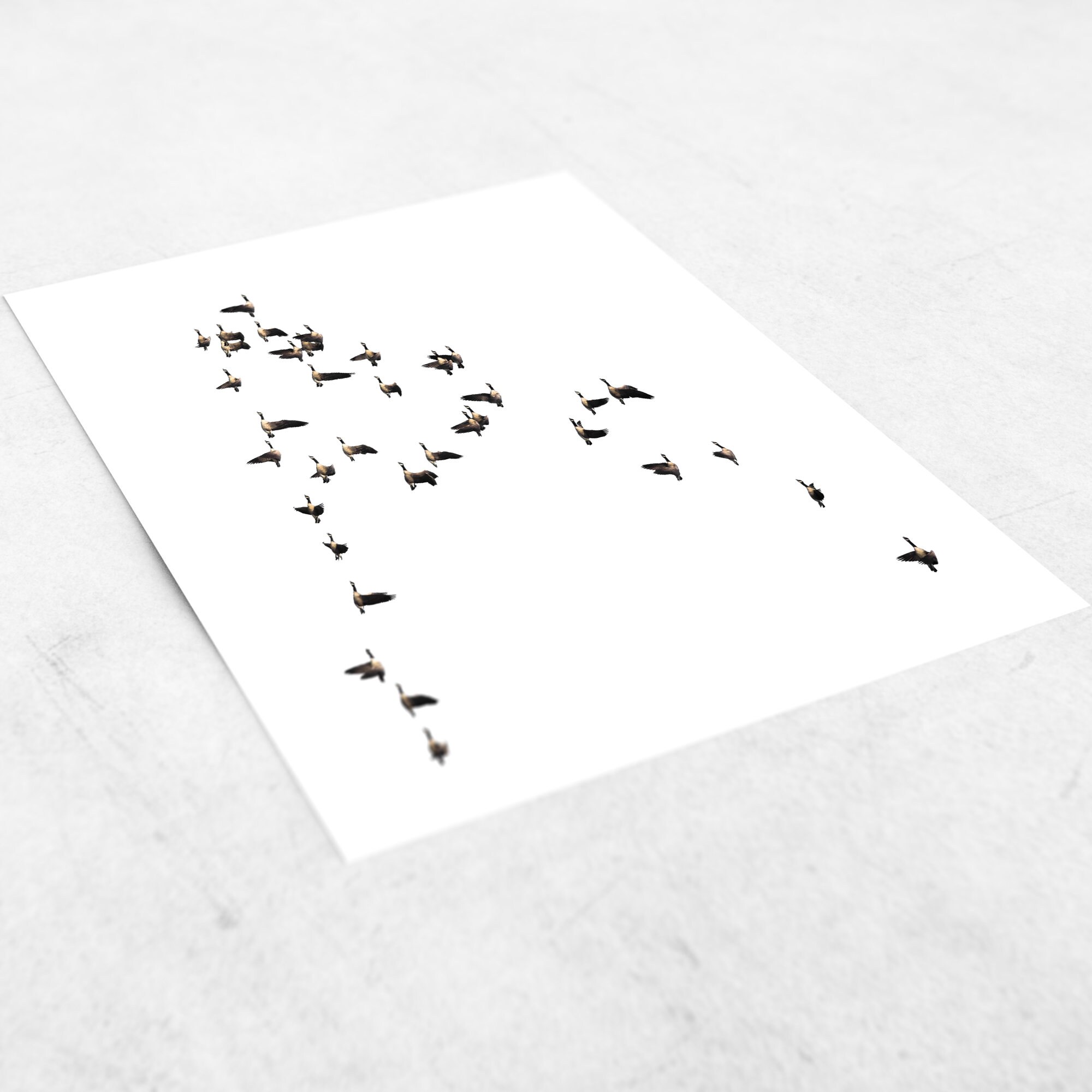 Flying Bird Print Scandinavian Print Minimalist Bird Print - Etsy