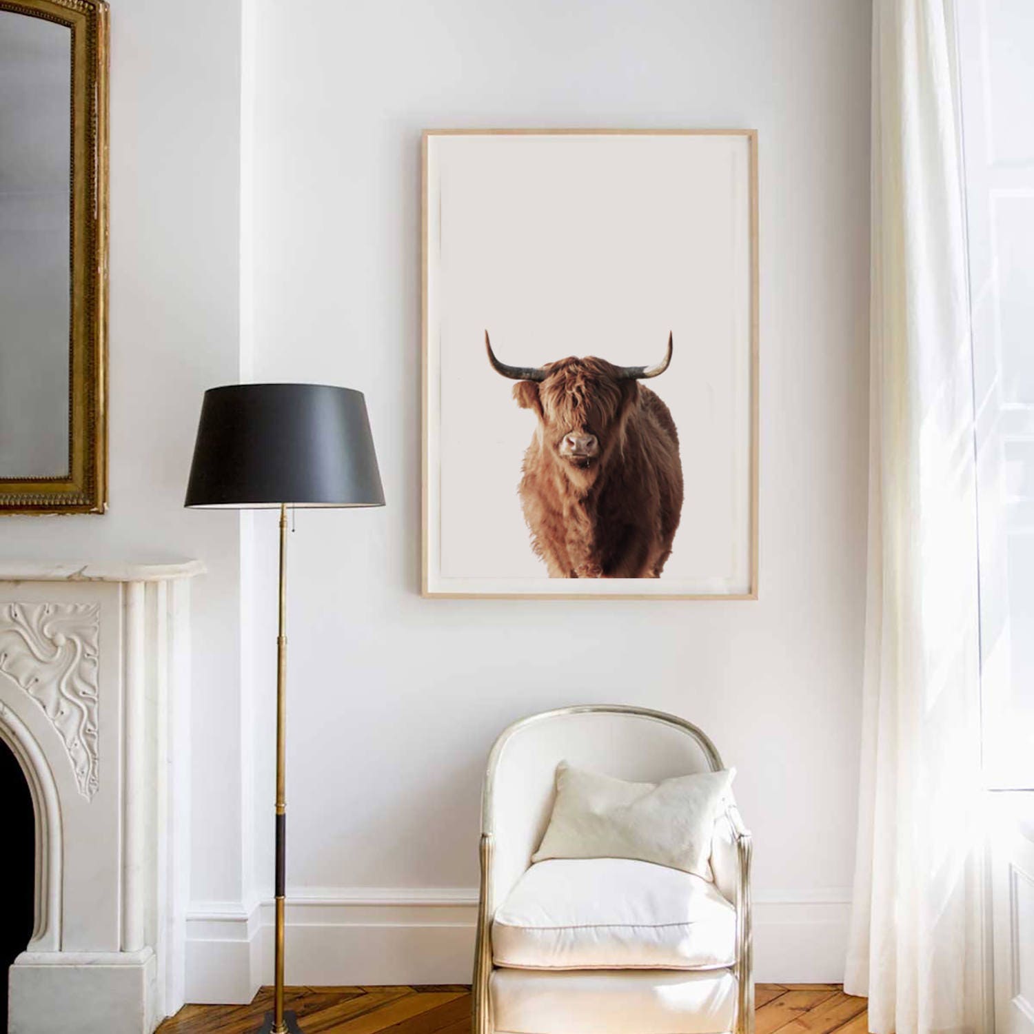 Highland Cow Print Cow Poster Cattle Photography Animal - Etsy