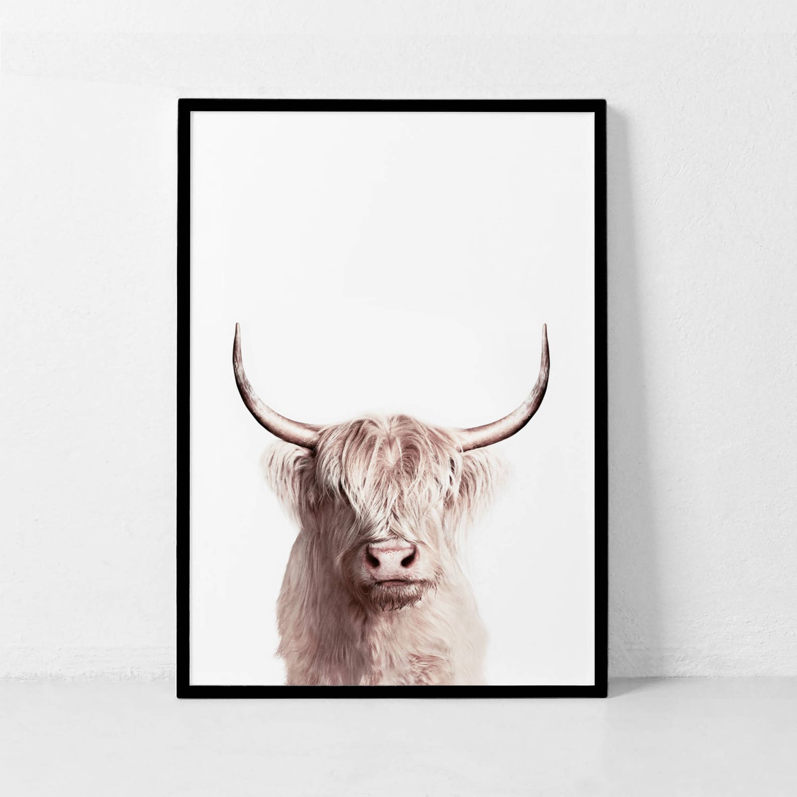 Highland Cow Print, Cow Poster, Cattle Photography, Animal Portrait ...