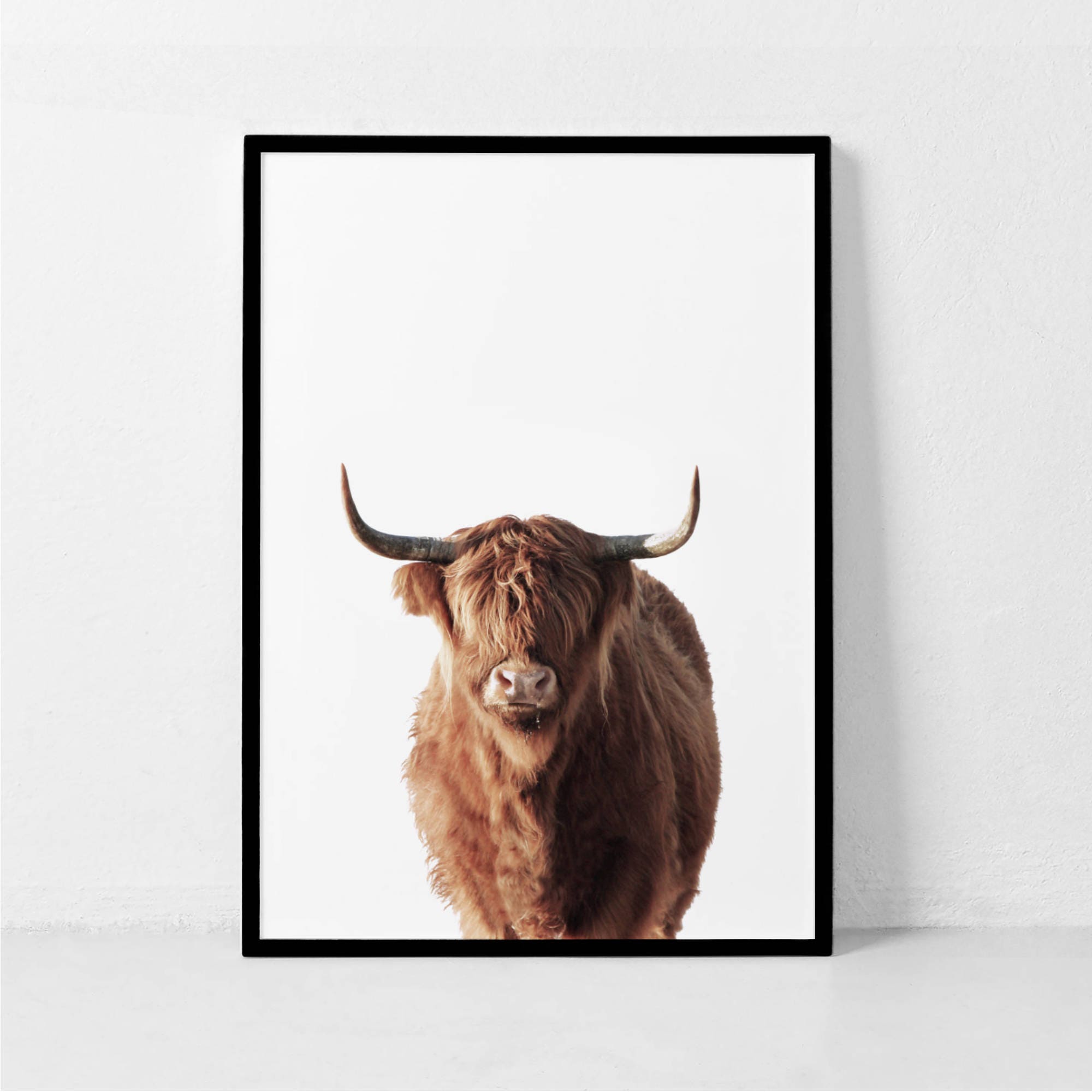 Highland Cow Print Cow Poster Cattle Photography Animal - Etsy
