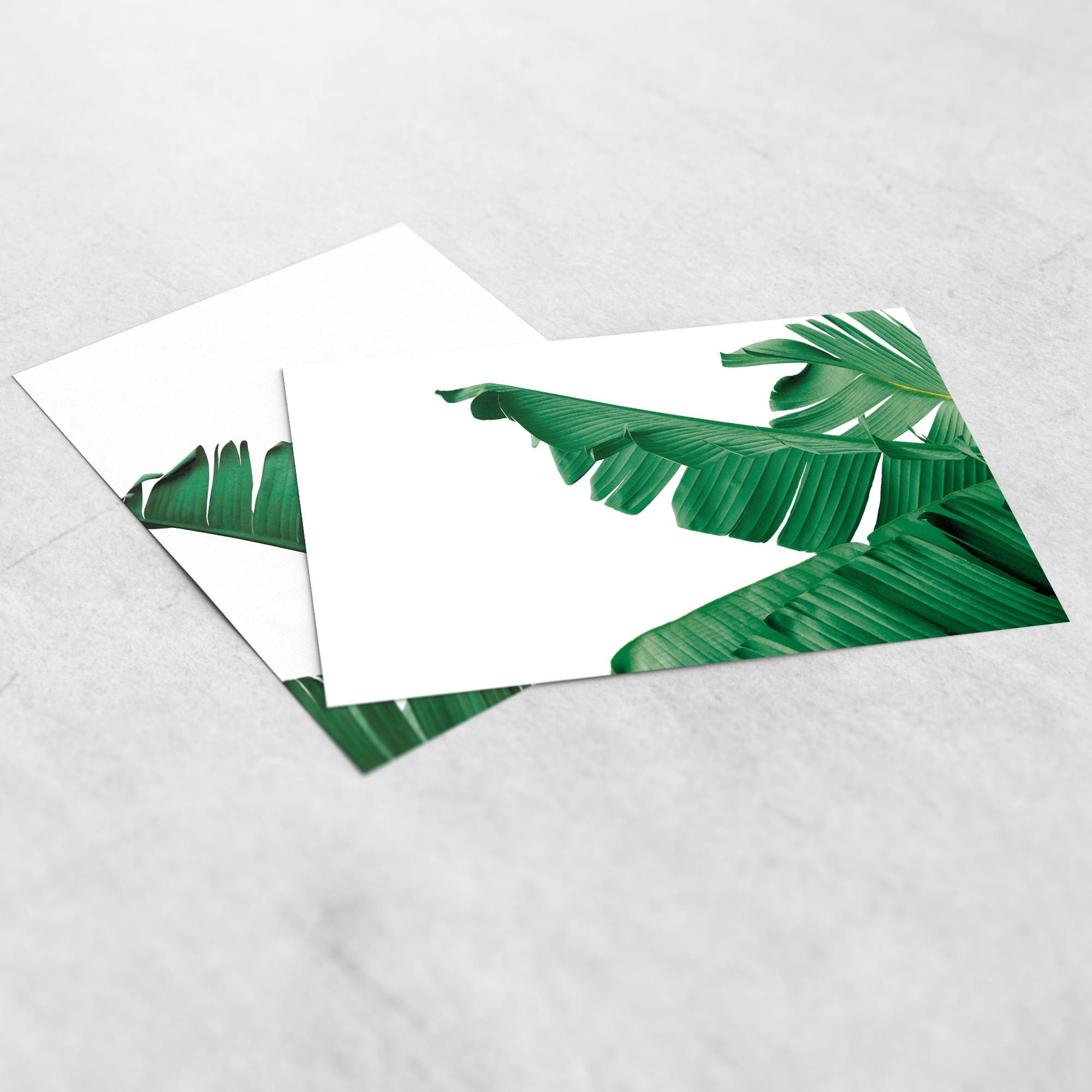 Set of 2 Banana Leaf Print Banana Leaf Print Banana Leaf - Etsy