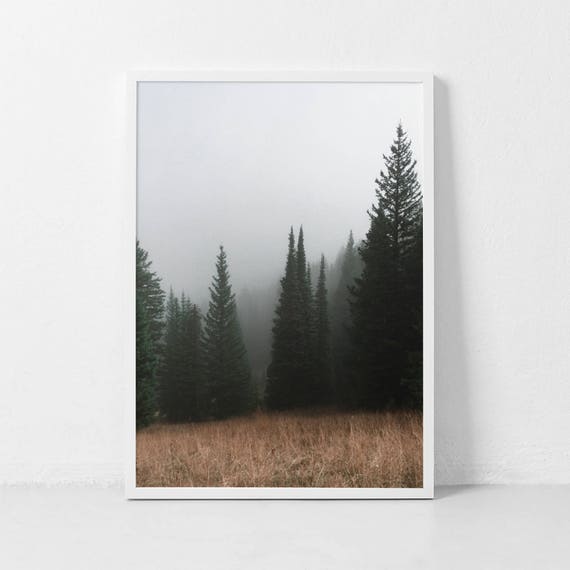 Large Forest Print Wall Art DOWNLOAD Instant Digital Forest Wall ...
