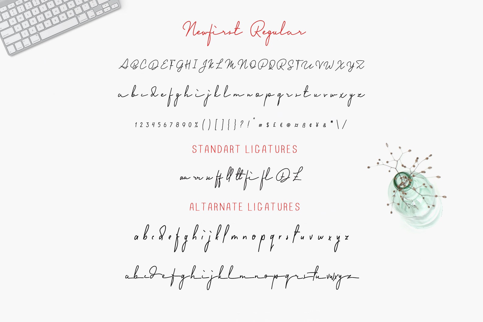 Newfirst Signature Script Font Hand Lettered Calligraphy | Etsy