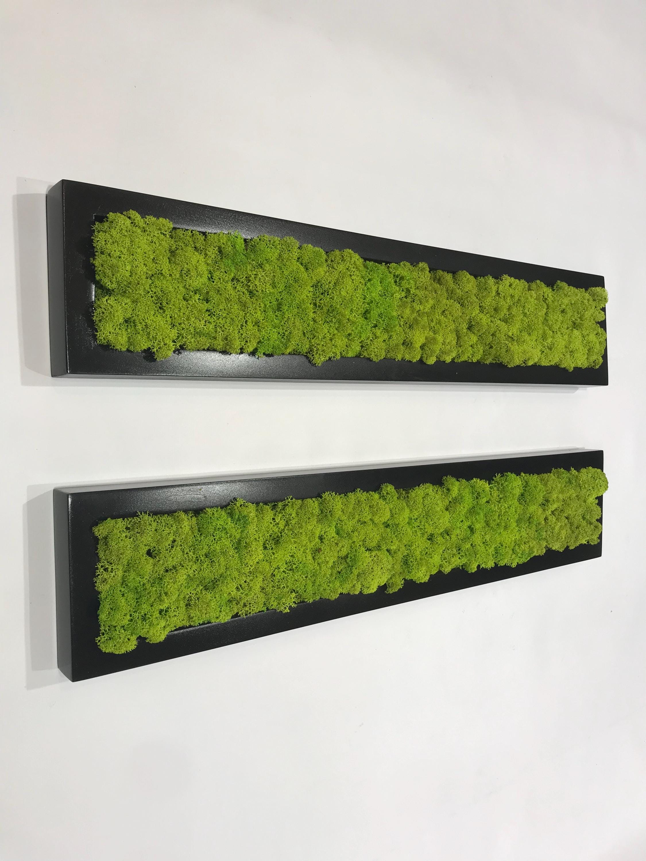 2 Pieces Wooden Wall Panels, Moss Wall Panel, Living Moss Wall Panel ...
