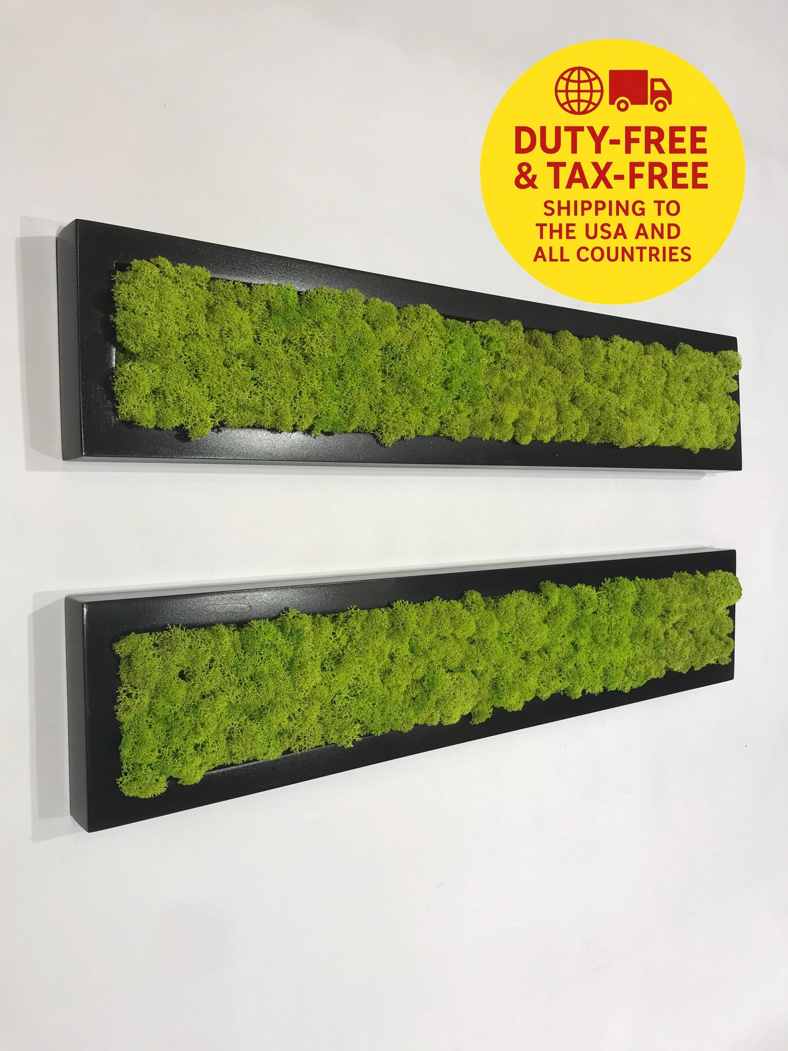 2 Pieces Wooden Wall Panels, Moss Wall Panel, Living Moss Wall Panel ...