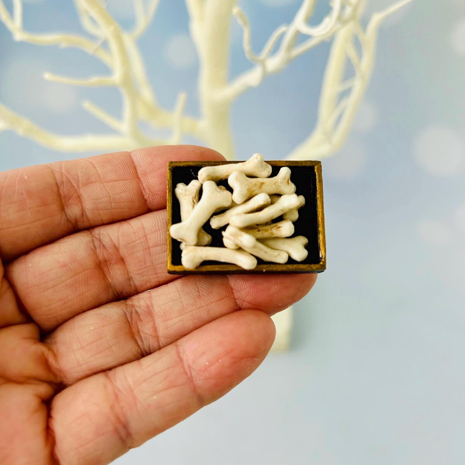 Handcrafted Miniature Bones for Witchy Altars and Dioramas. Set of 12 ...