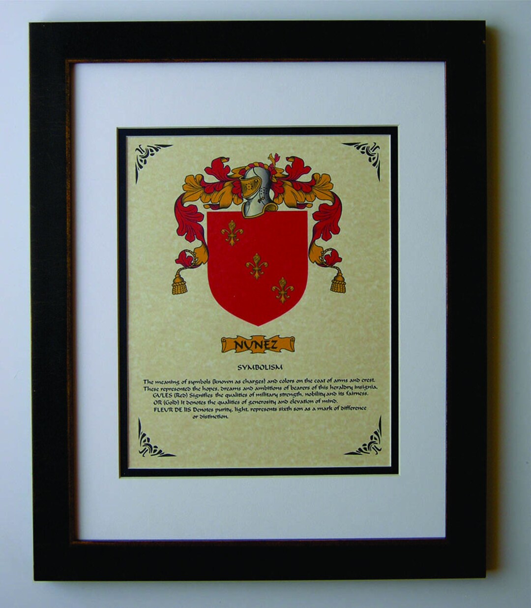 HERALDRY COAT of ARMS Nunez Family Crest Framed - Etsy