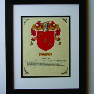 HERALDRY COAT of ARMS Nunez Family Crest Framed - Etsy